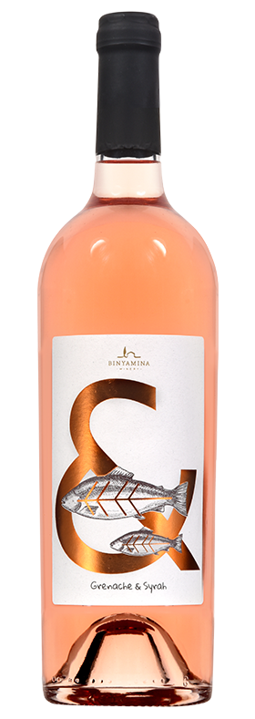 &Wine Rosé – Grenache & Syrah – Seafood - Binyamina Winery